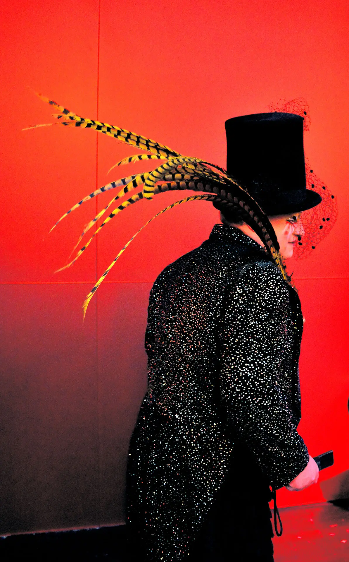 La Barbichette – Les Célestins, Théâtre de Lyon